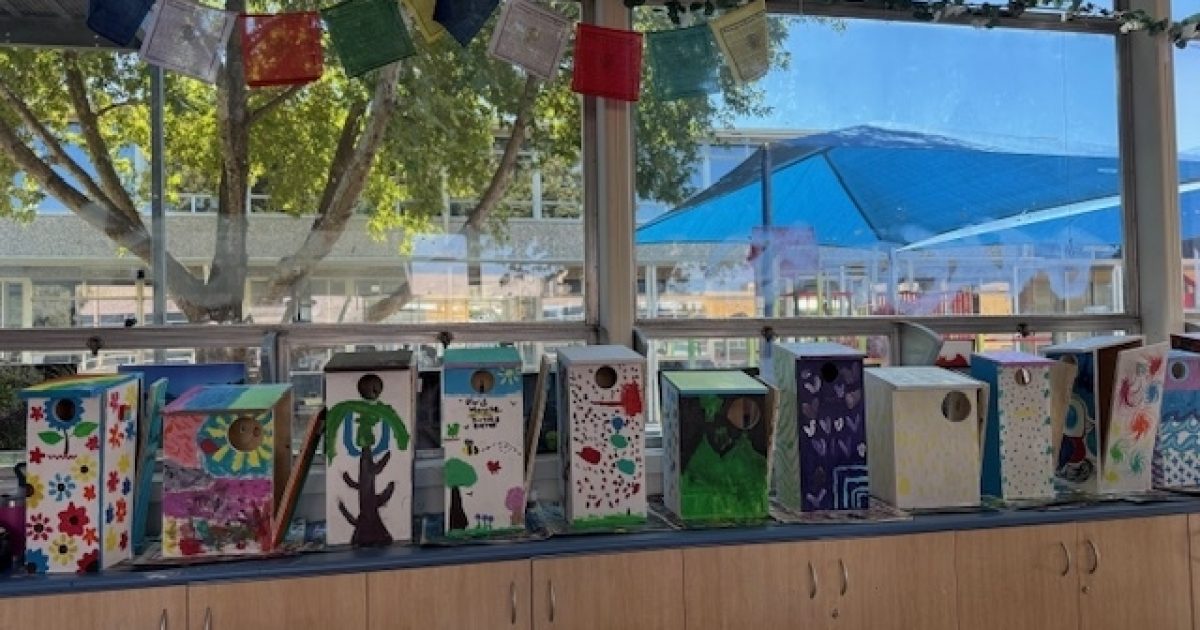 Working together to support… | Tram Grade Separation Projects Alliance